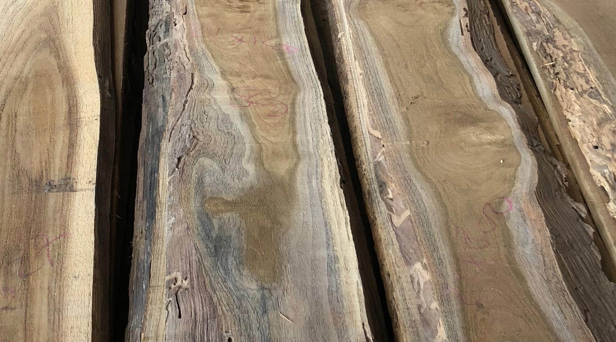 La storia del Teak - Arco Arredi